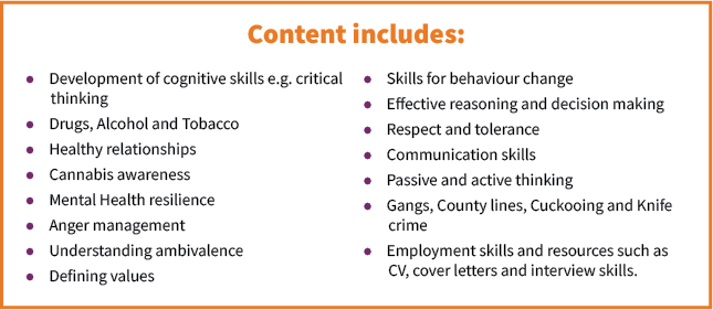 Empowering Young People - Intuitive Thinking Skills